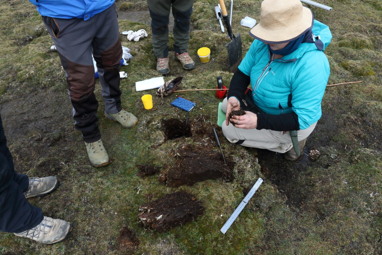 Lake Chinchaycocha, Peru - Wetlands International