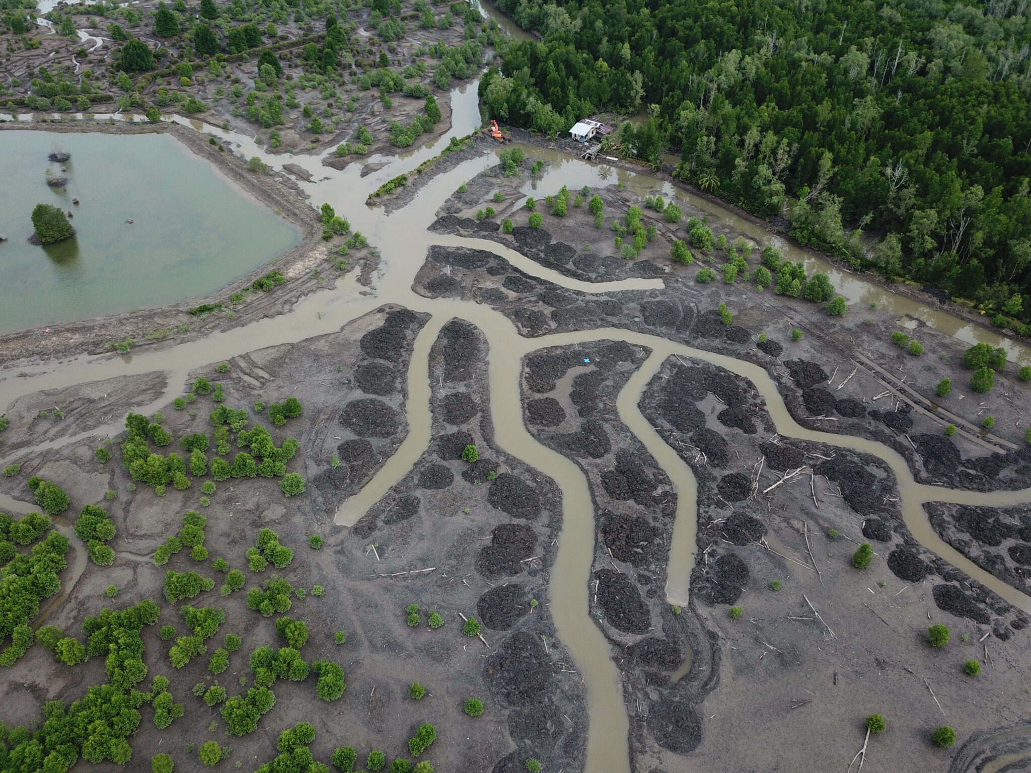 Demonstrating and upscaling Ecological Mangrove Restoration in North Kalimantan, Indonesia ...