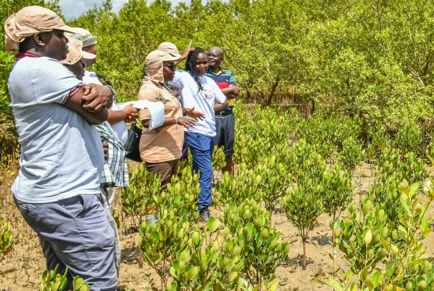 Our partners - Wetlands International