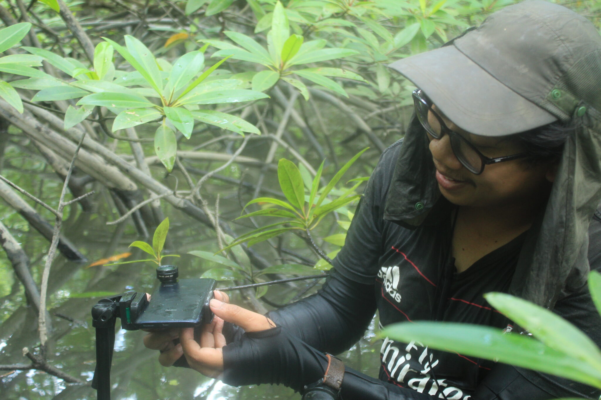 Demonstrating and upscaling Ecological Mangrove Restoration in North ...