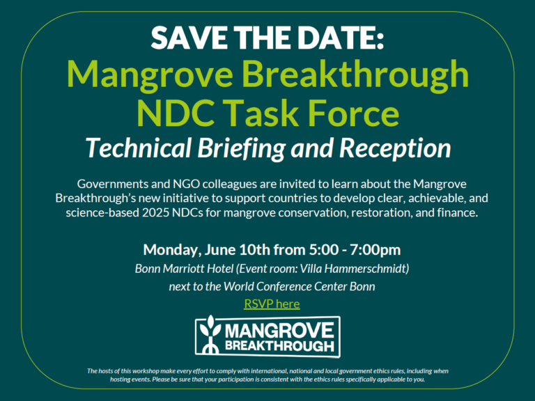 Launch New Task Force To Help Countries Conserve and Restore Mangroves ...