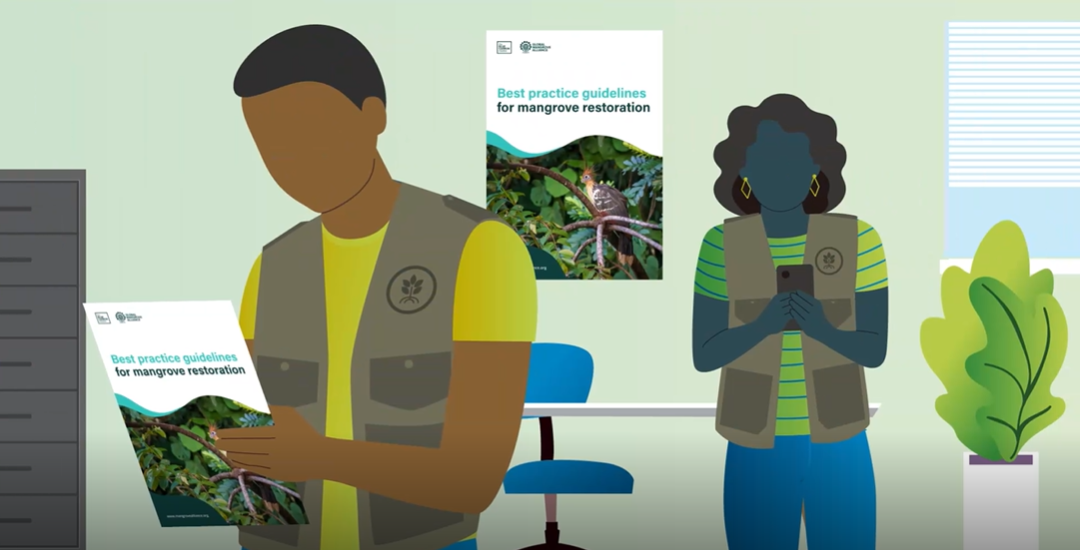 Video series "How to effectively restore mangroves" - Wetlands ...