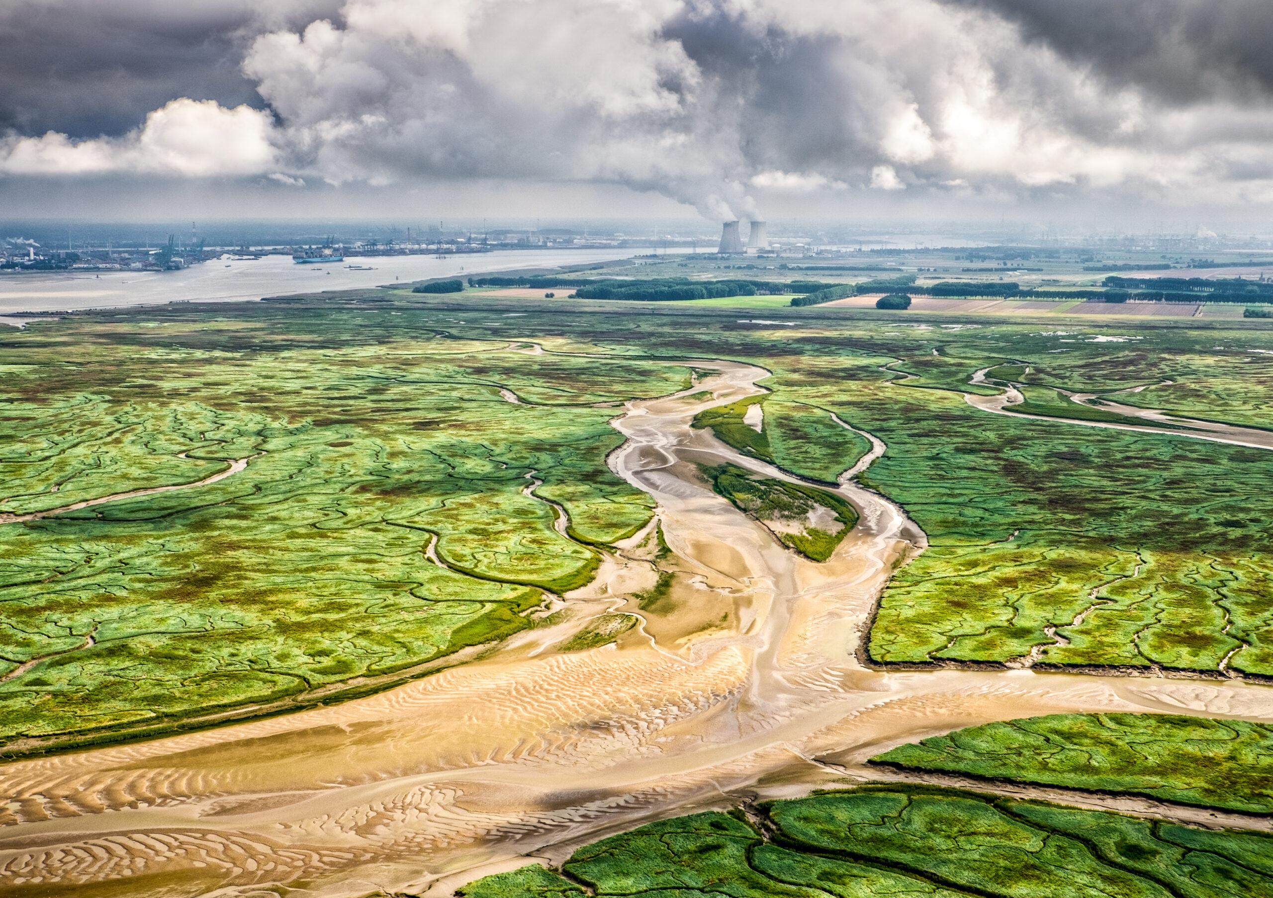 Restoration, creation and management of salt marshes and tidal flats ...