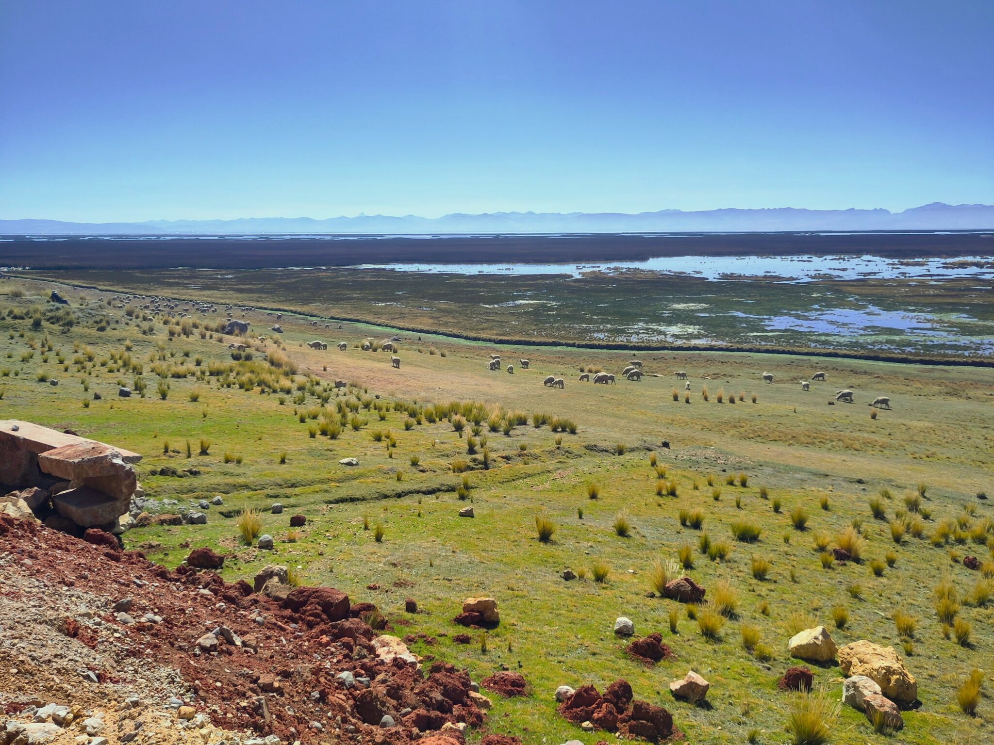 Home - Wetlands International