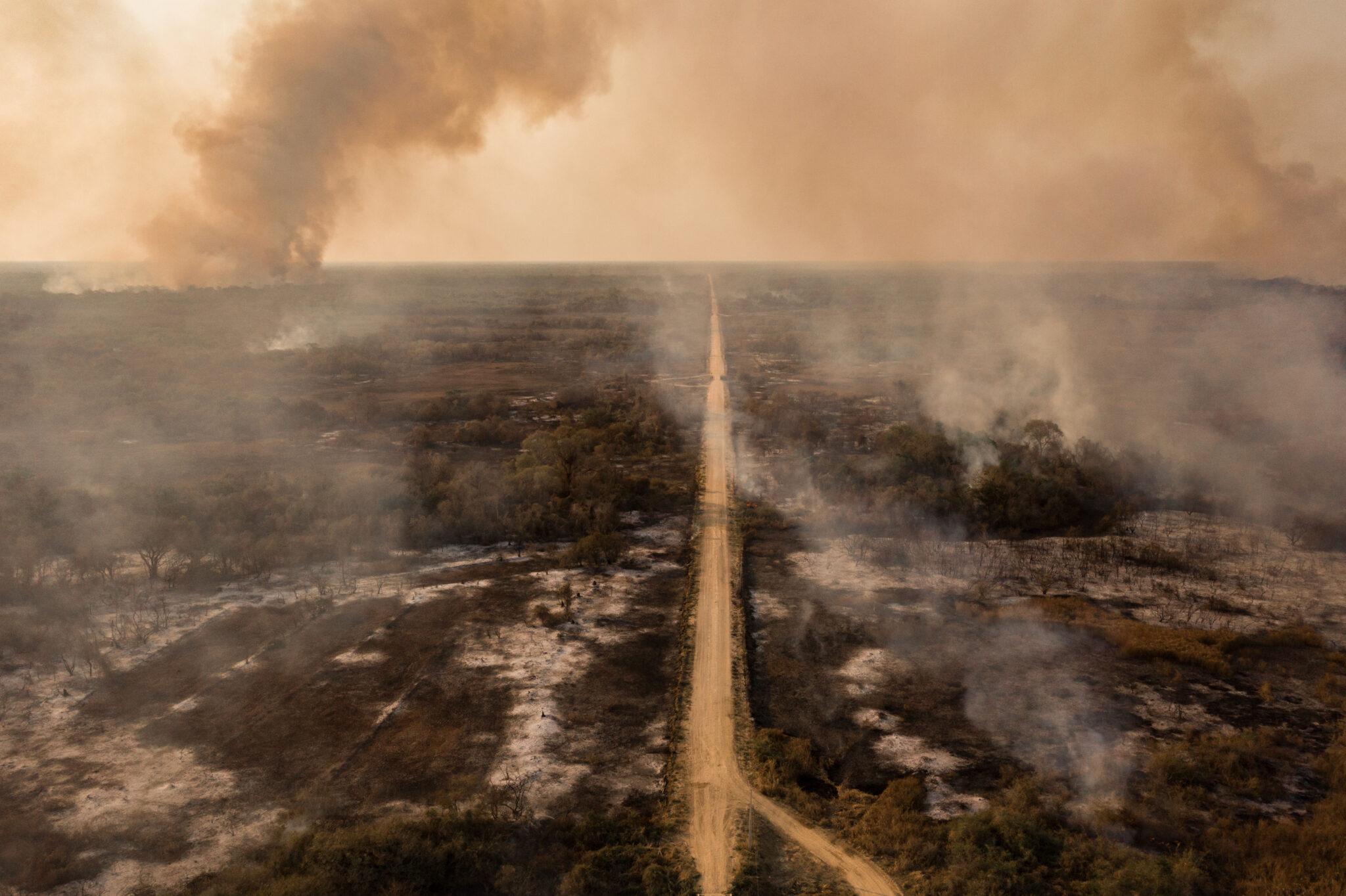 Pantanal fires threaten unique biodiversity - Wetlands International