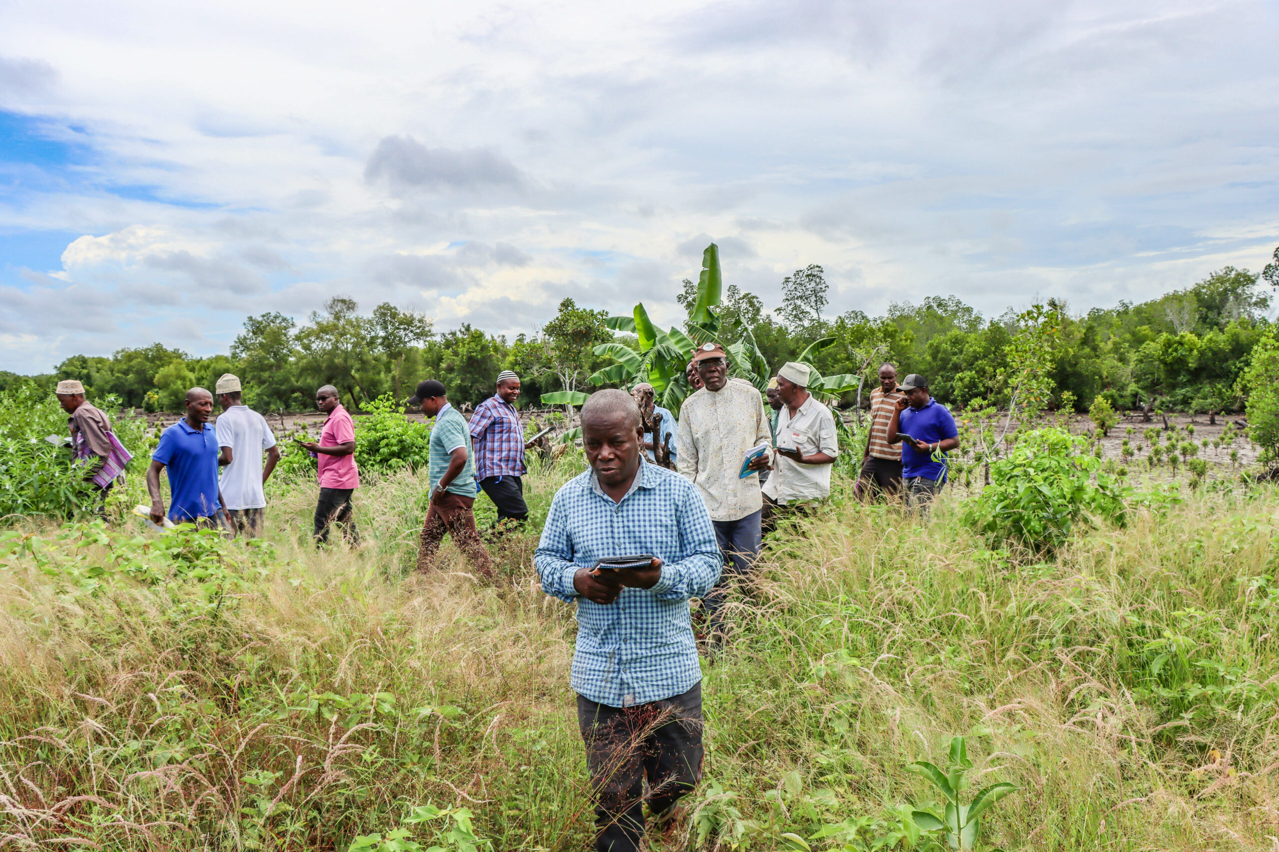 Technology for good: identifying real-time mangrove loss through the ...