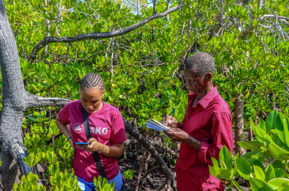 Scaling science-based mangrove restoration in the Philippines ...