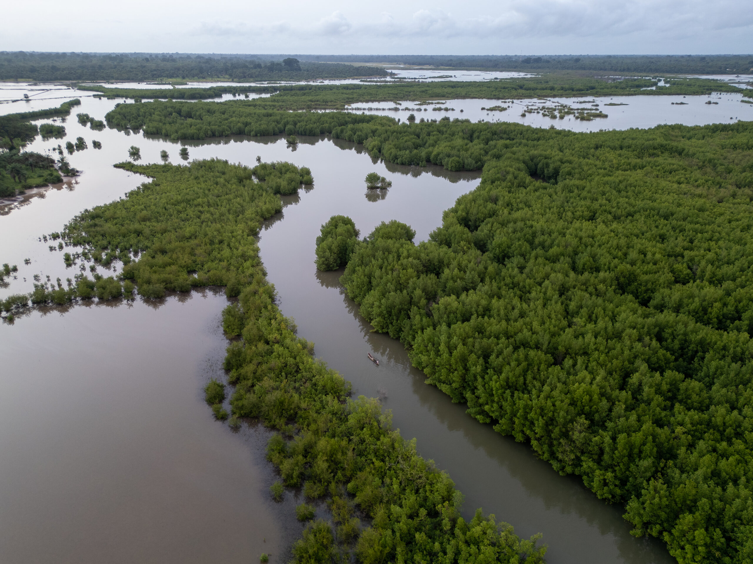 Opening Statement for IOPs: SC64 - Wetlands International
