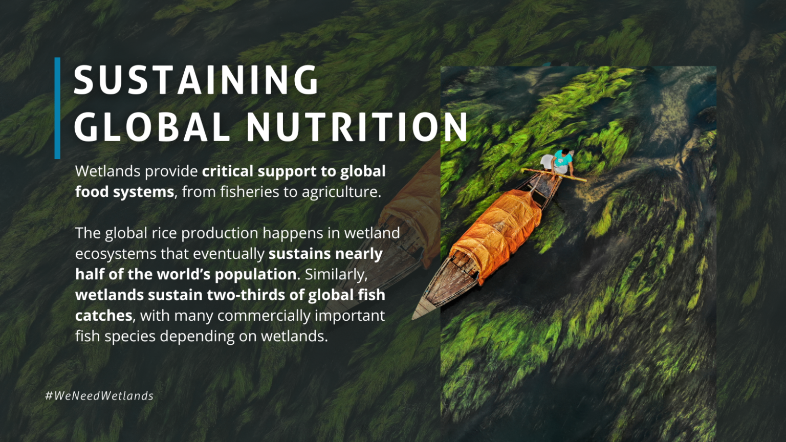 World Wetlands Day: Protecting wetlands for our common future ...