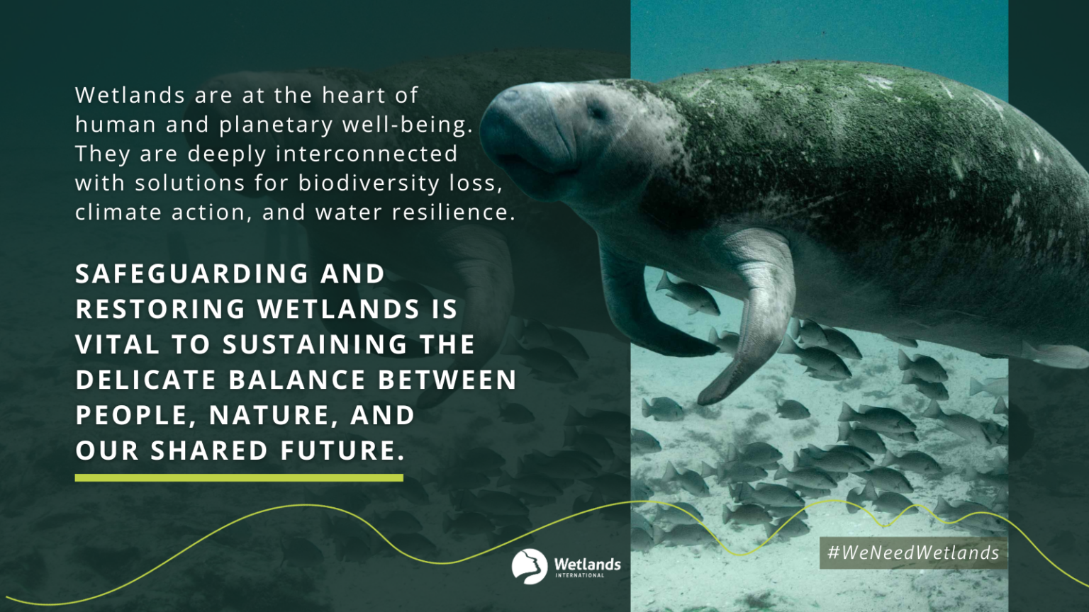 World Wetlands Day: Protecting wetlands for our common future ...