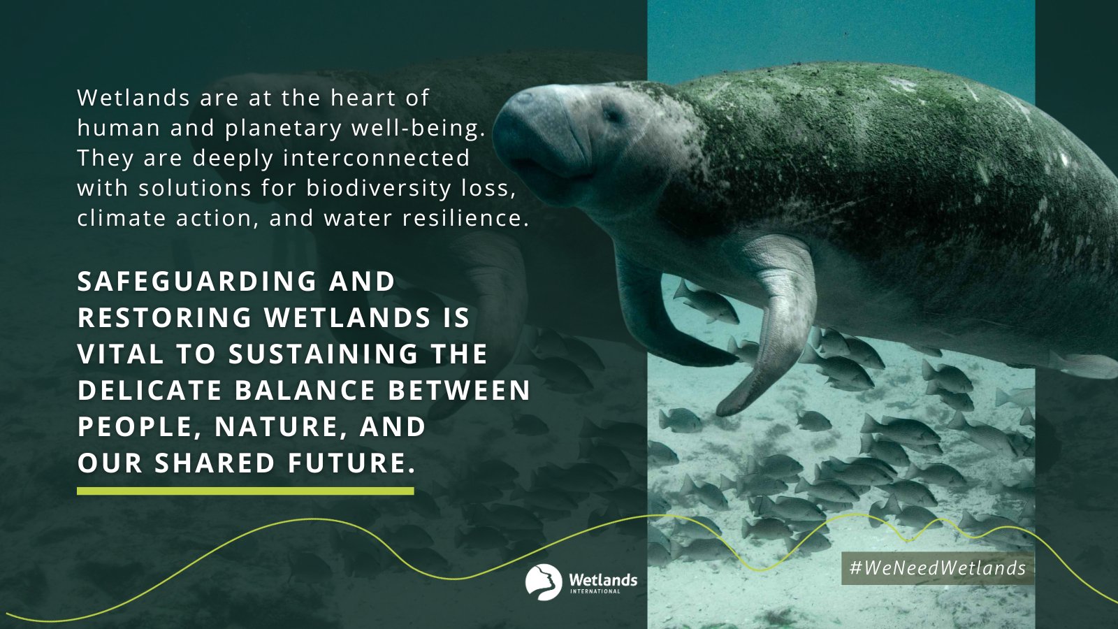 World Wetlands Day: Protecting wetlands for our common future ...