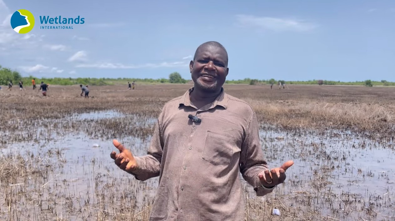 Alhadji Siaka about restoring former rice fields in Moyama, Sierra ...