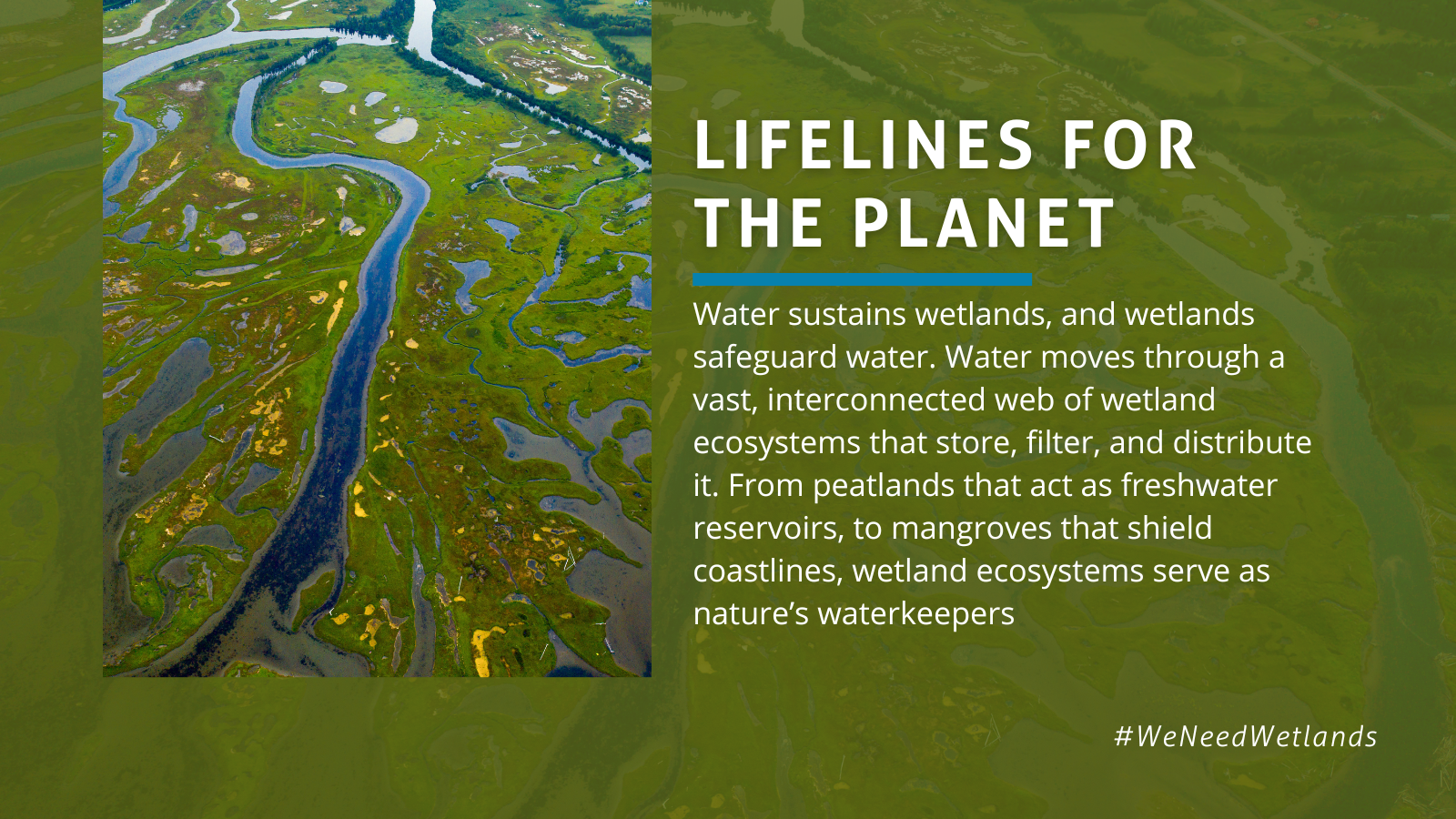 Wetlands: the foundation of water security - Wetlands International