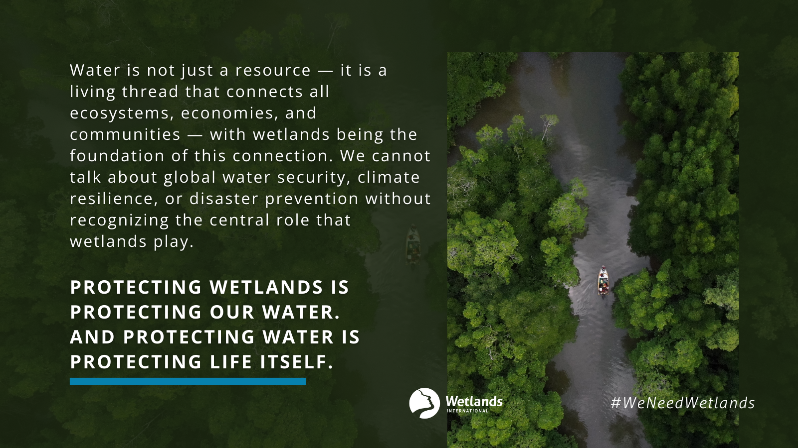 Wetlands: the foundation of water security - Wetlands International