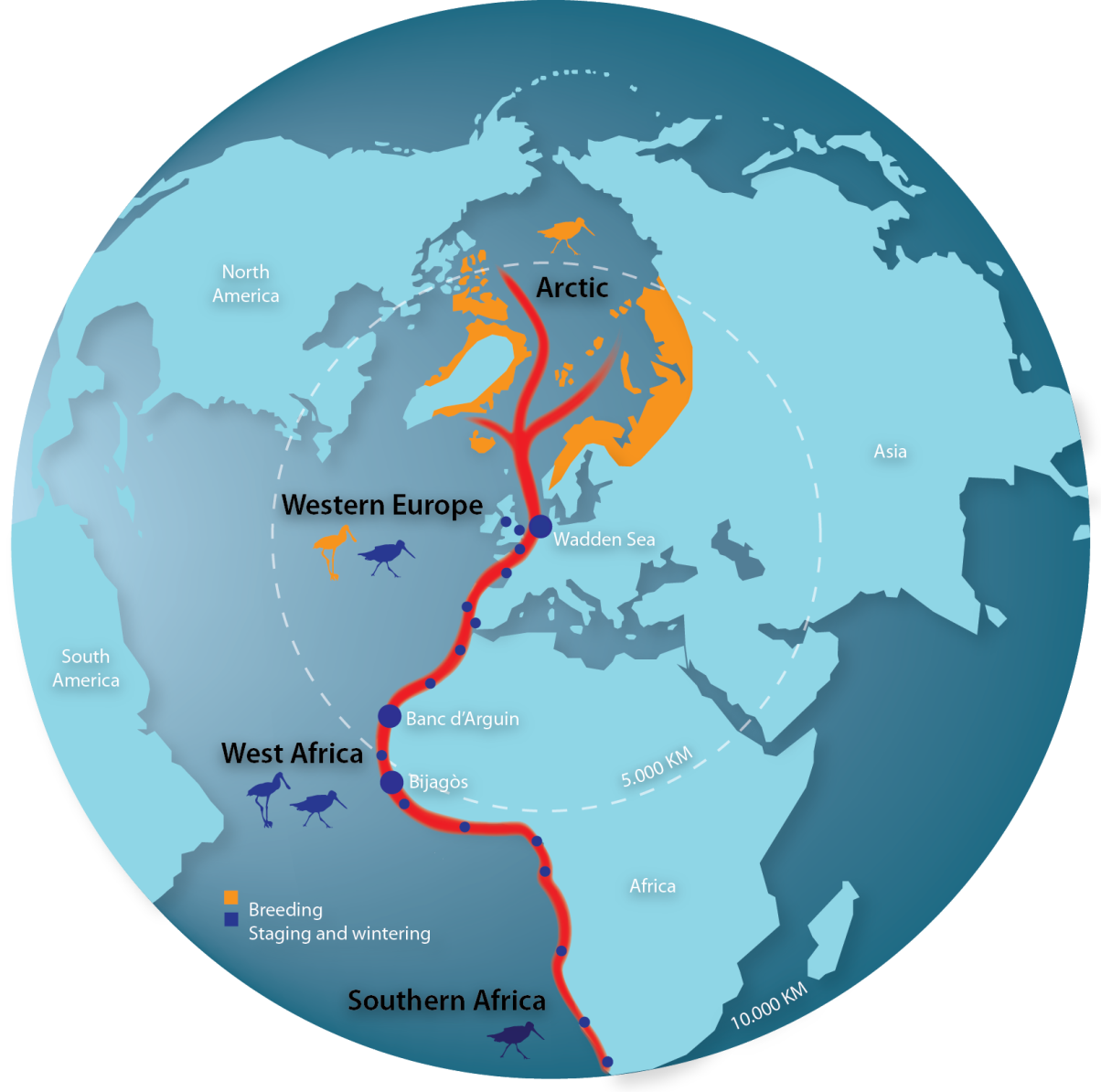 Climate Resilience for Migratory Birds and People along the East ...