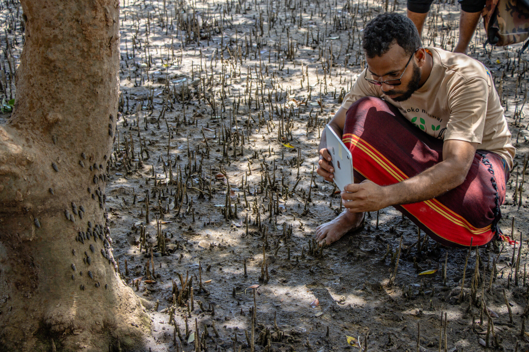 Mangrove restoration that works: lessons from Rassam from Lamu ...