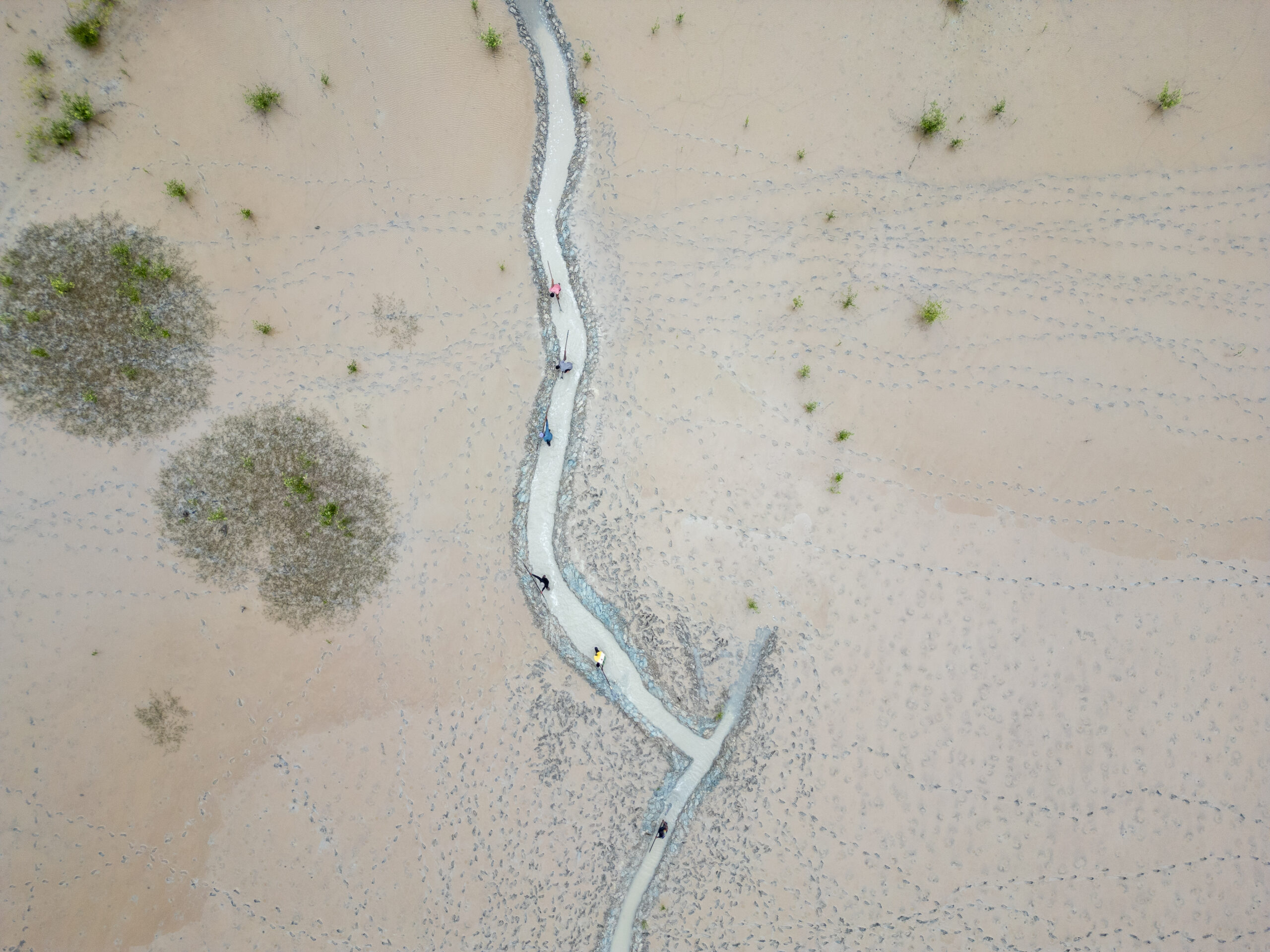 Annual Review 2024 - Wetlands International