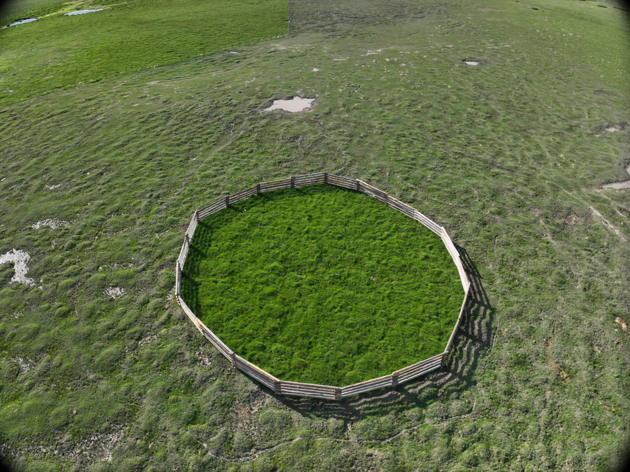 Project update: peatland restoration in Mongolia - Wetlands International