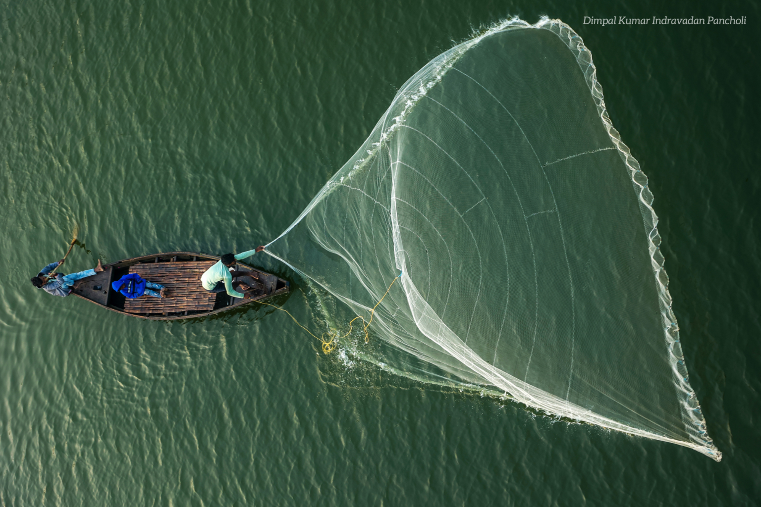 Mangroves in photographs - Wetlands International