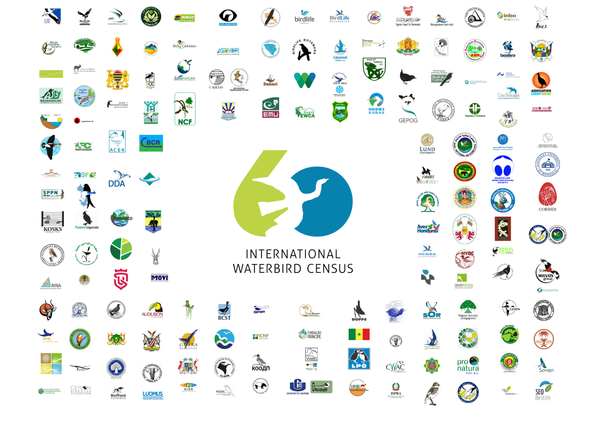 60 years of the International Waterbird Census - Wetlands International