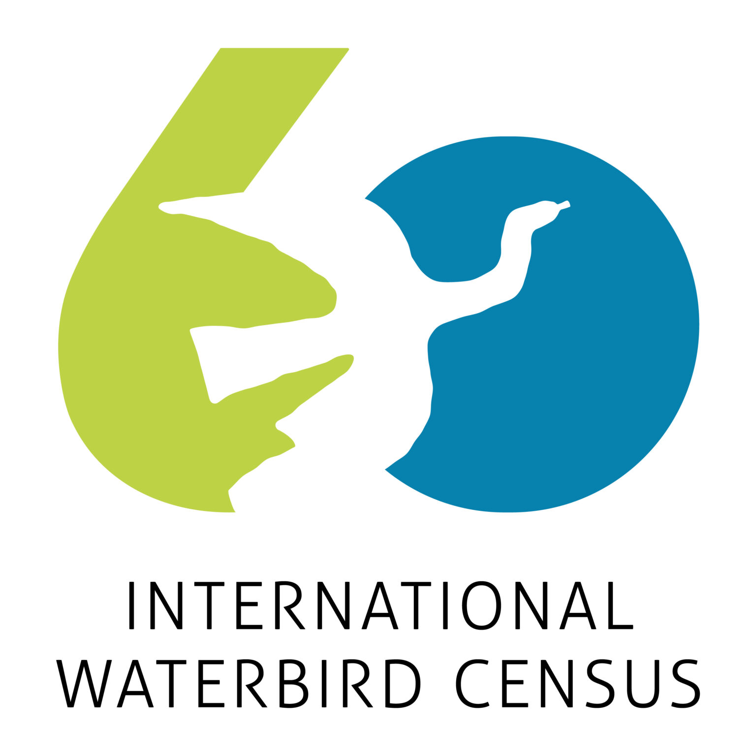 60 years of the International Waterbird Census - Wetlands International