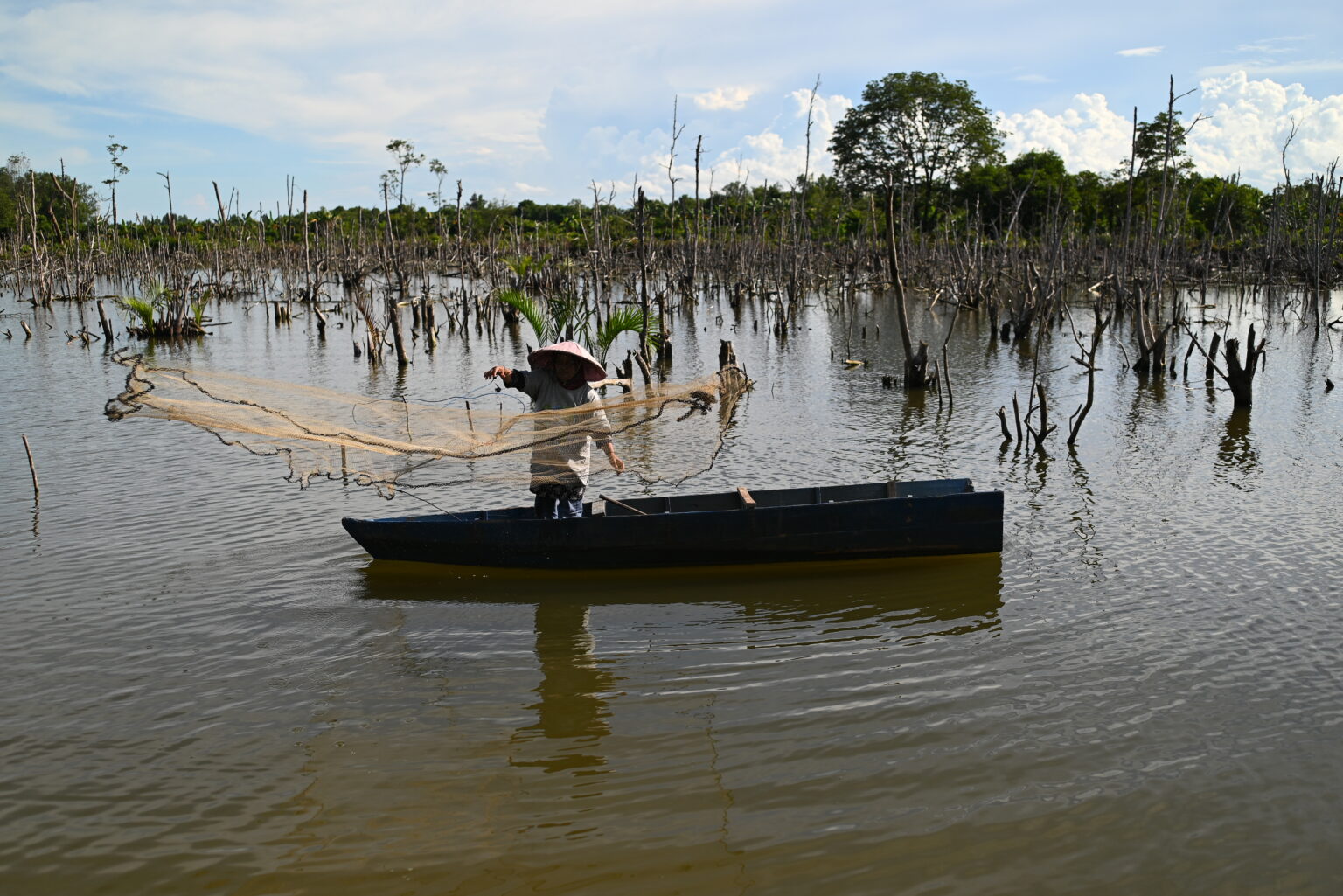 How Global Mangrove Watch Empowers Local Action in Indonesia - Wetlands ...