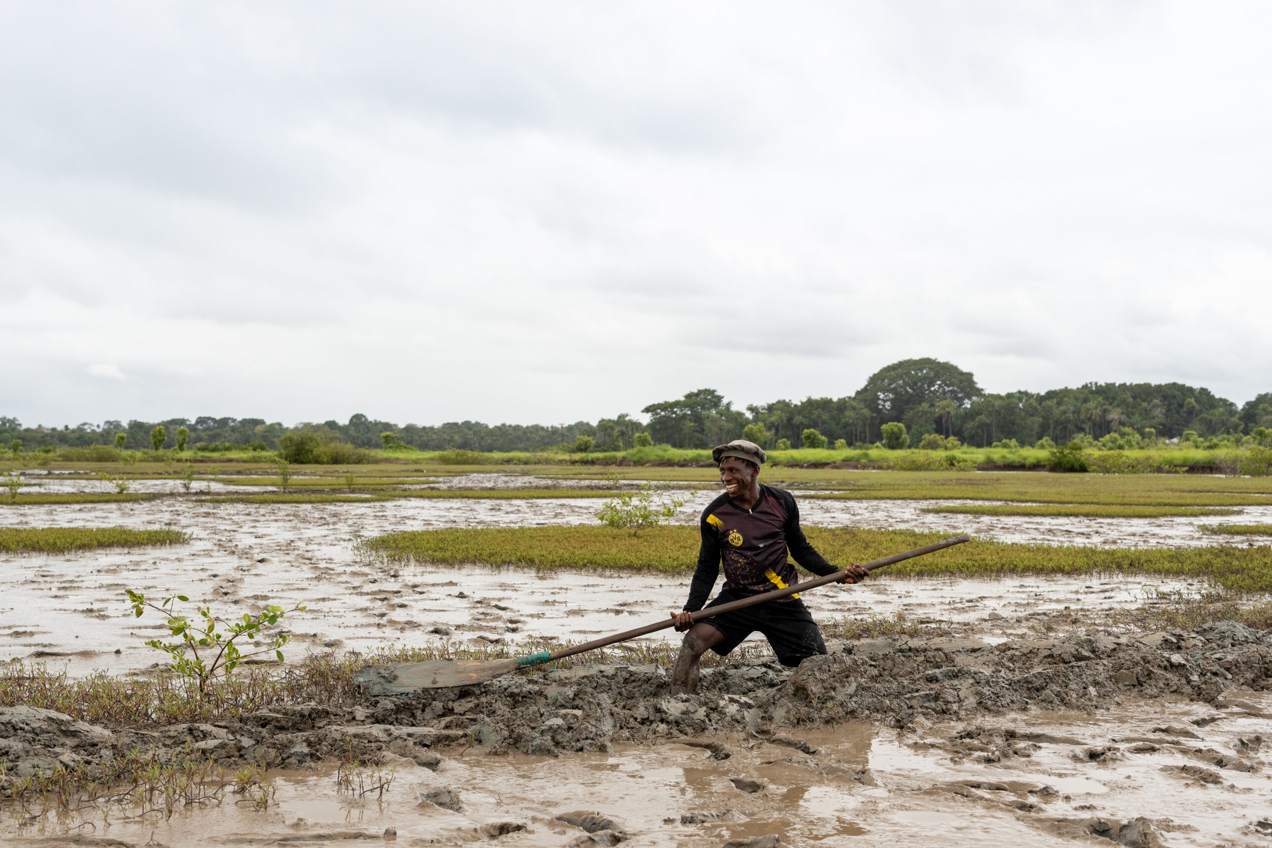 Wetlands for Life (2026-35) - Wetlands International
